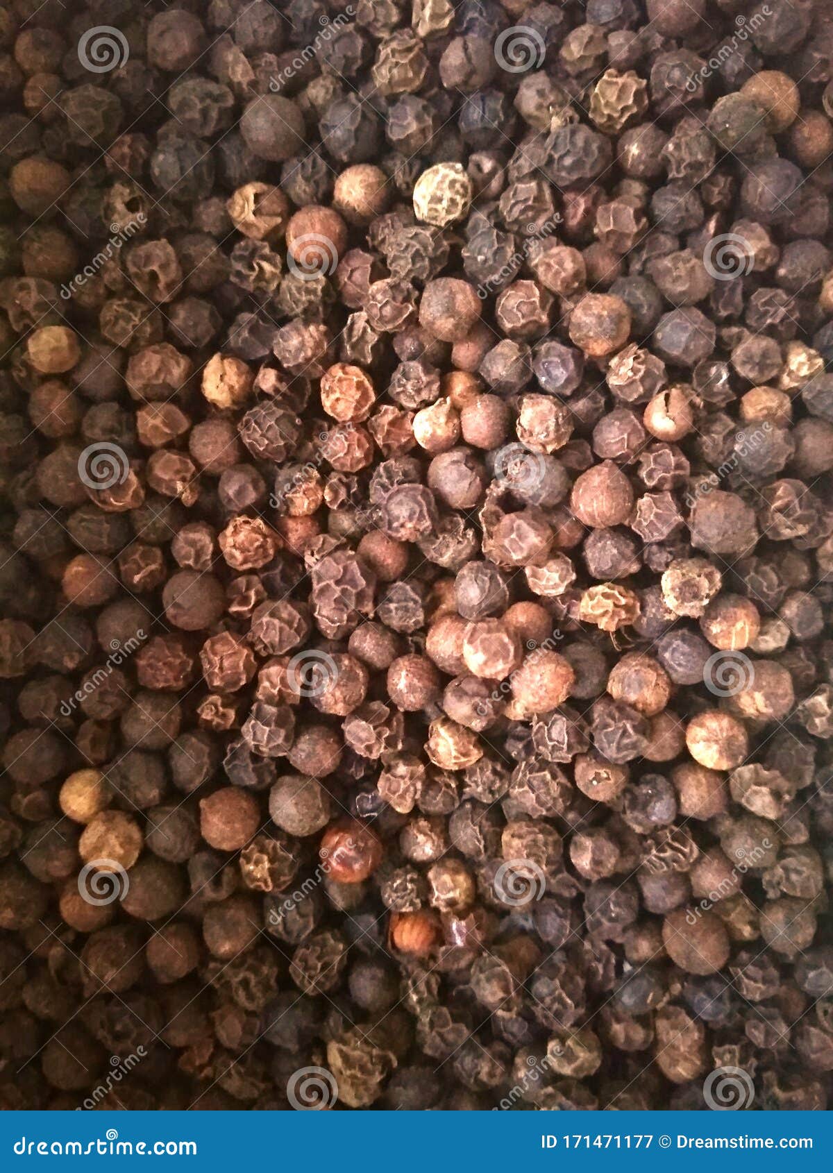 Brown Pepper, Detail of Kitchen Spice Stock Image - Image of wonderfull ...