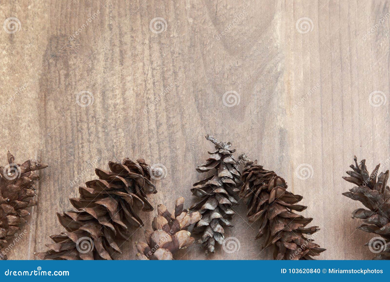 Brown Pinecones Laying on Wooden Backdrop for Fall Decoration Stock ...