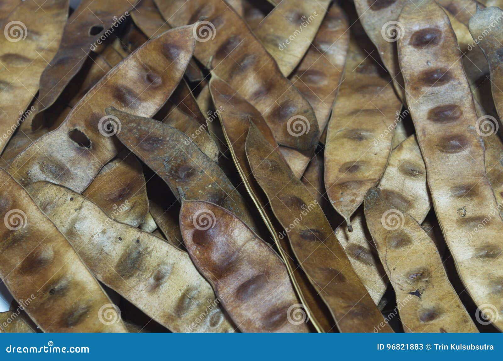 Brown Pods. stock image. Image of vitamin, taste, nature - 96821883