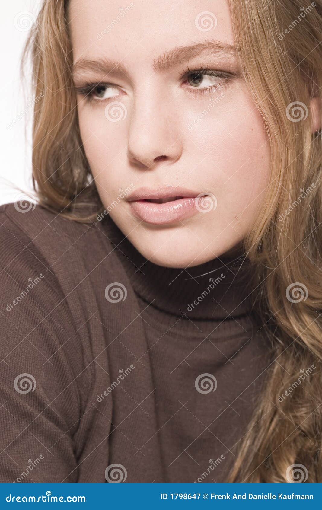 Brown portrait stock image. Image of glamour, portrait - 1798647