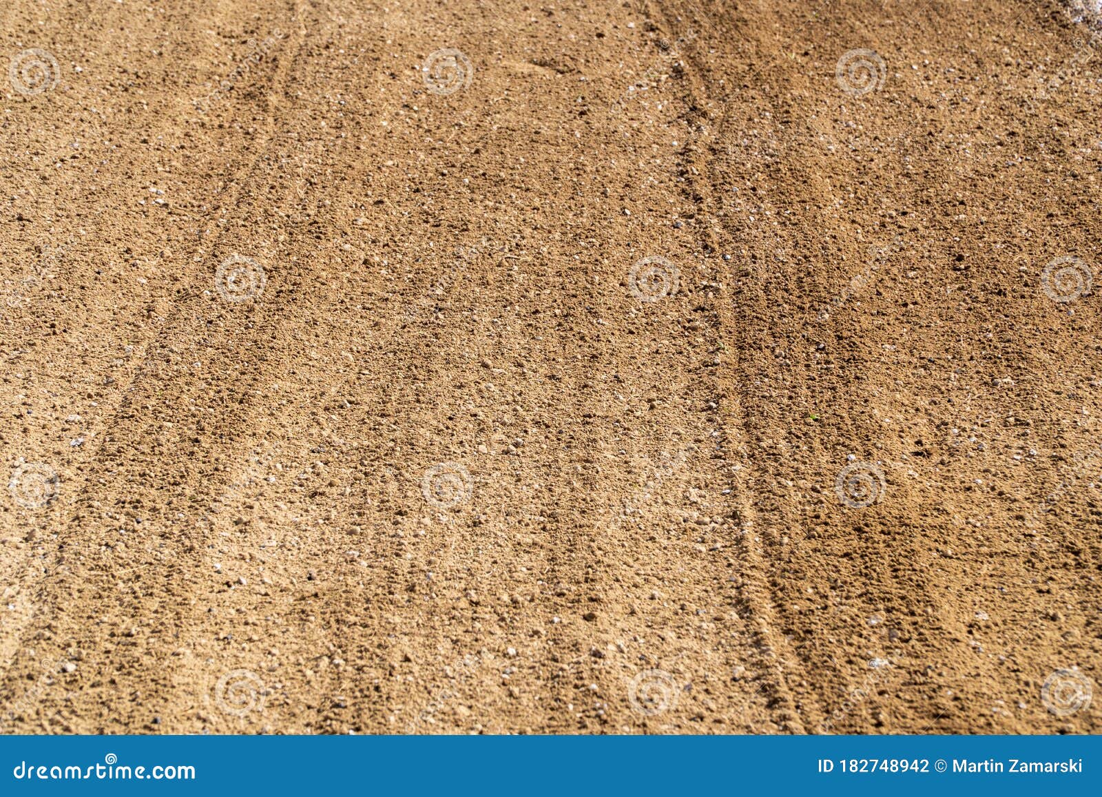 Brown Pupa after Sowing Grass Stock Photo - Image of sand, agriculture ...