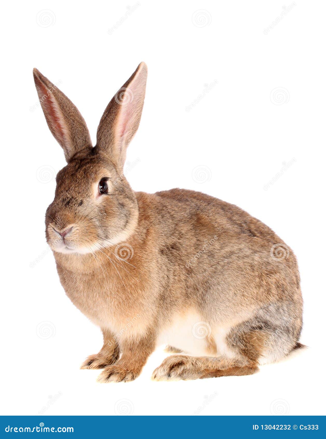 Brown Rabbit Fur Texture, Animal Skin Background Royalty-Free Stock ...