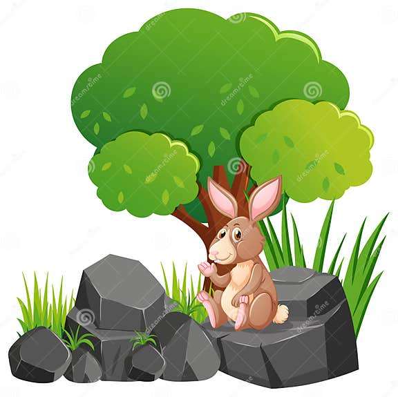 Brown rabbit on the rock stock vector. Illustration of wildlife - 92493265
