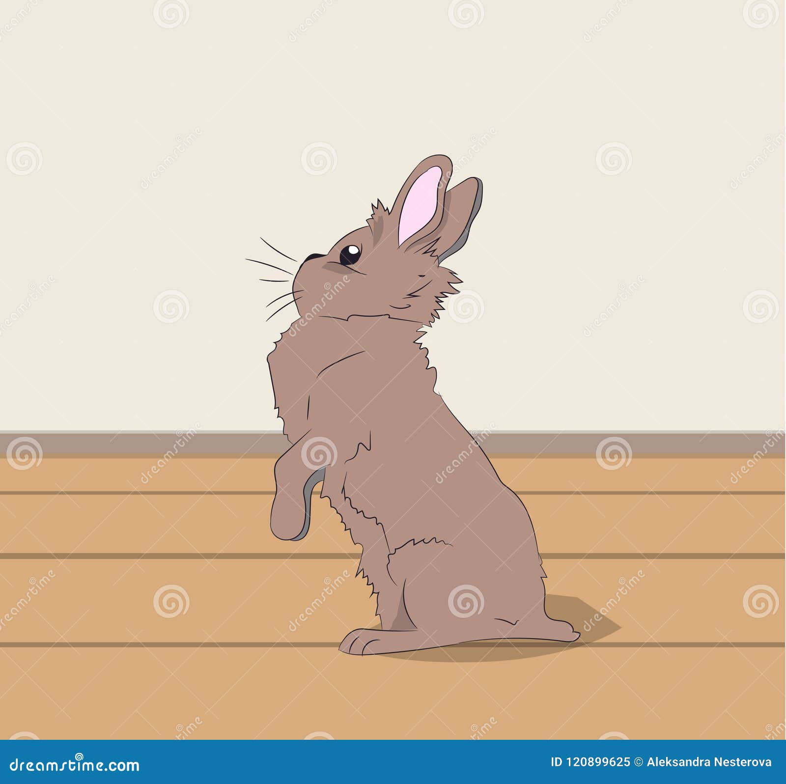 Rabbit Sitting in a Room, Vector Stock Vector - Illustration of spring ...
