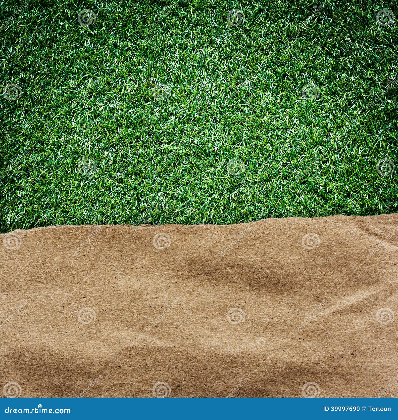 Brown Recycled Paper Ripped on Grass Stock Photo - Image of drawing ...