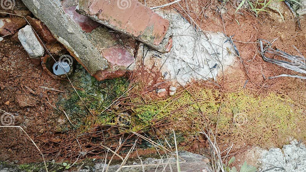 Brown or Reddish Rusty-colored Stains on Dried Puddle Soil Surface ...
