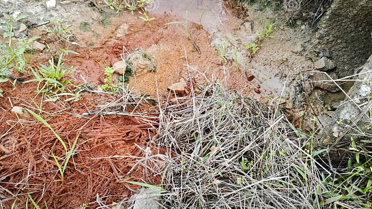 Brown or Reddish Rusty-colored Stains on Dried Puddle Soil Surface ...