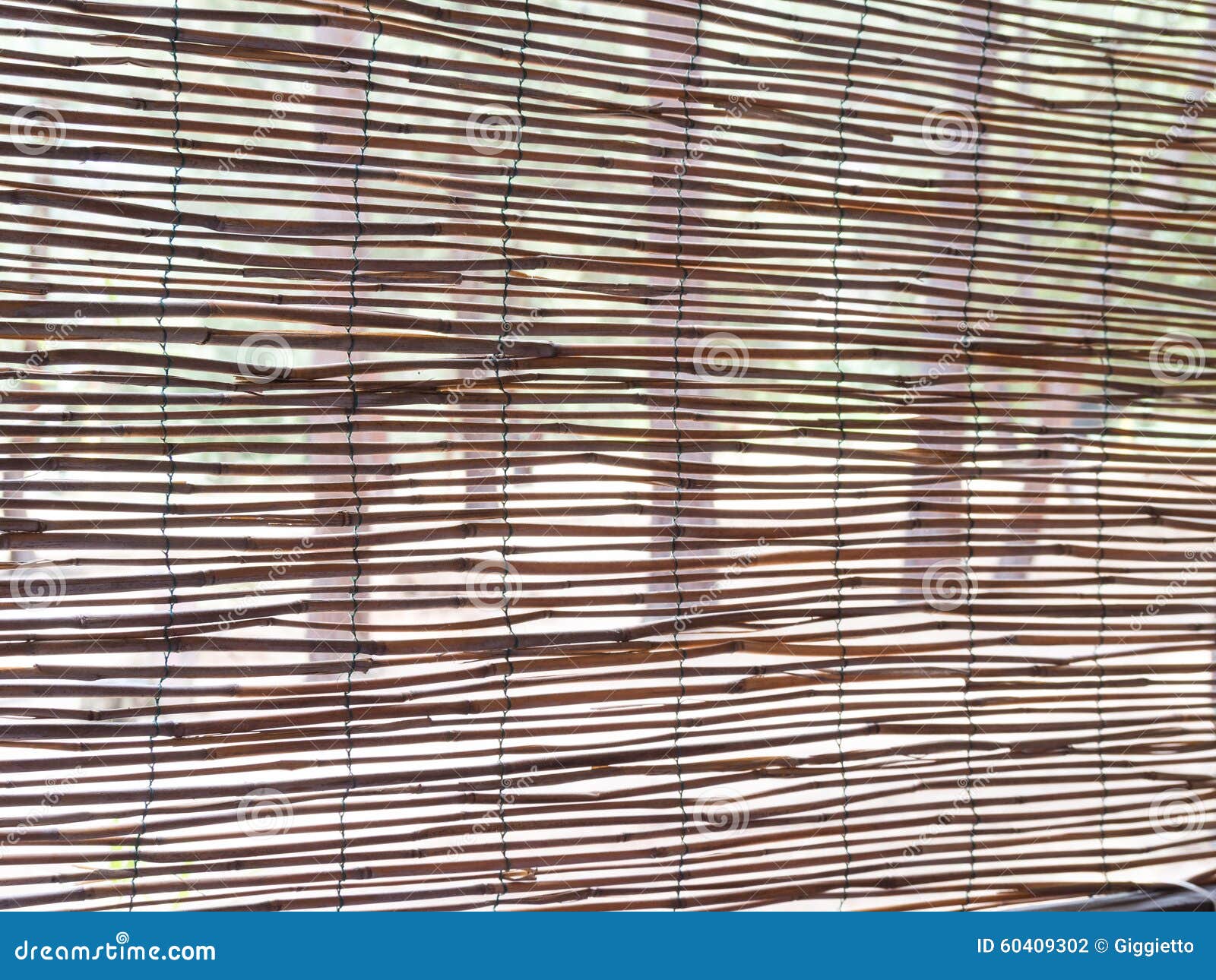 Brown reeds cut stock photo. Image of natural, color - 60409302