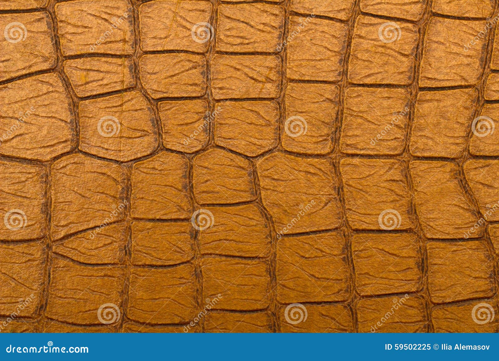 Brown Retro Crocodile Leather Texture Stock Image - Image of crocodile ...