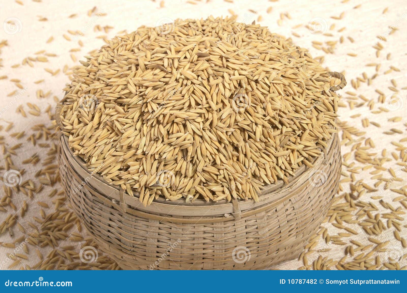 Brown rice stock photo. Image of rice, healthy, food - 10787482