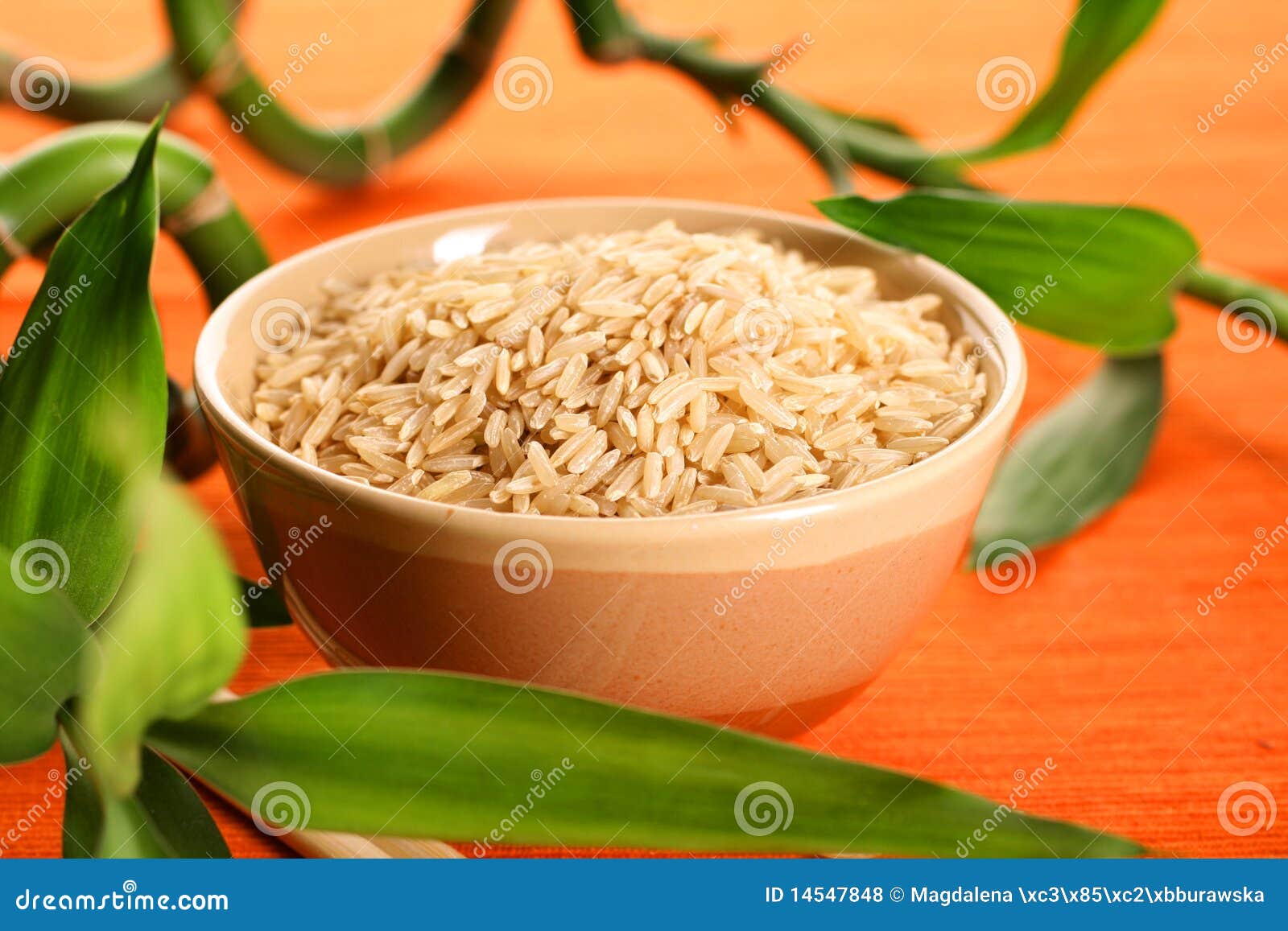 Brown rice stock photo. Image of rice, crop, food, nutrition - 14547848