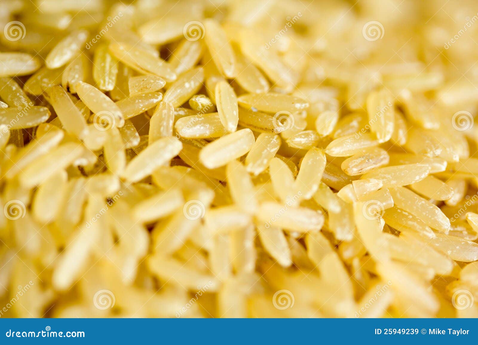 Brown Rice stock image. Image of field, health, healthy - 25949239