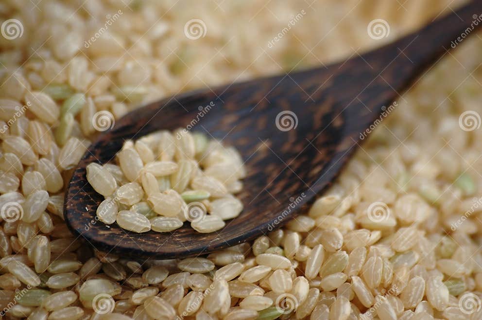 Brown Rice stock photo. Image of healthy, brown, rice, diet - 419738