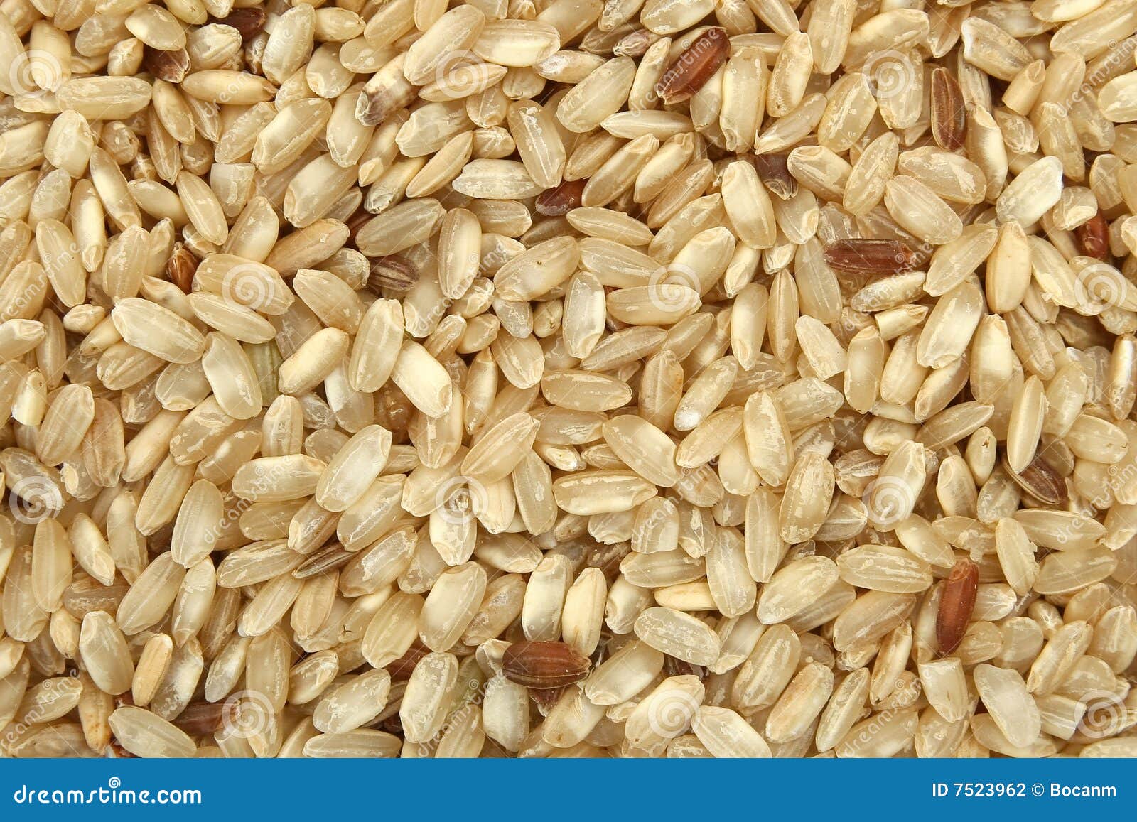 Brown rice stock photo. Image of menu, meal, chinese, energy - 7523962