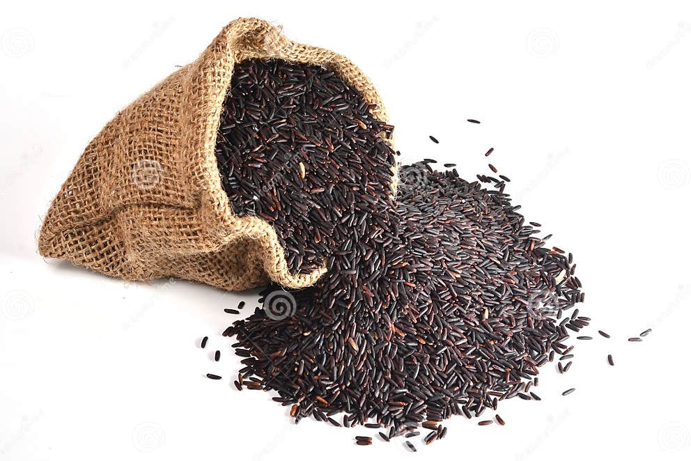 Brown rice stock photo. Image of contrast, asian, grain - 59825798