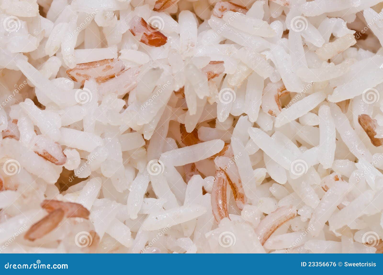 Brown rice form Thailand stock photo. Image of fresh - 23356676