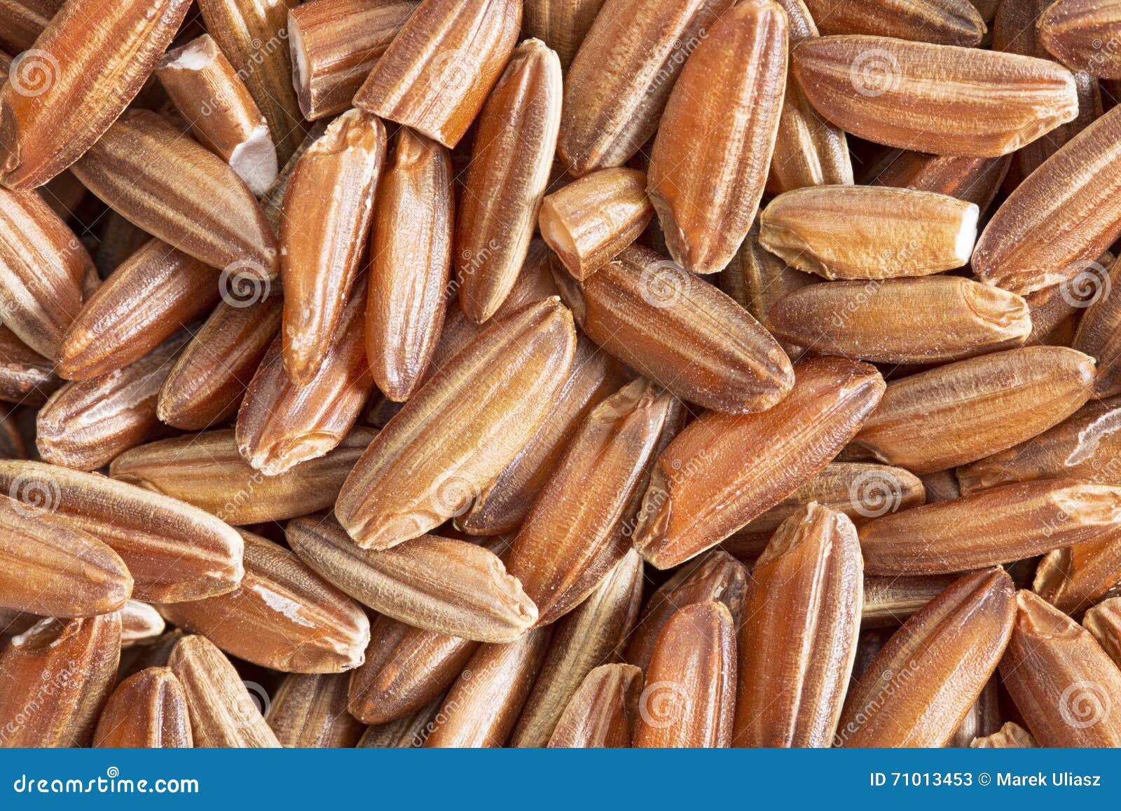 Brown rice grain macro stock image. Image of size, ingredient - 71013453