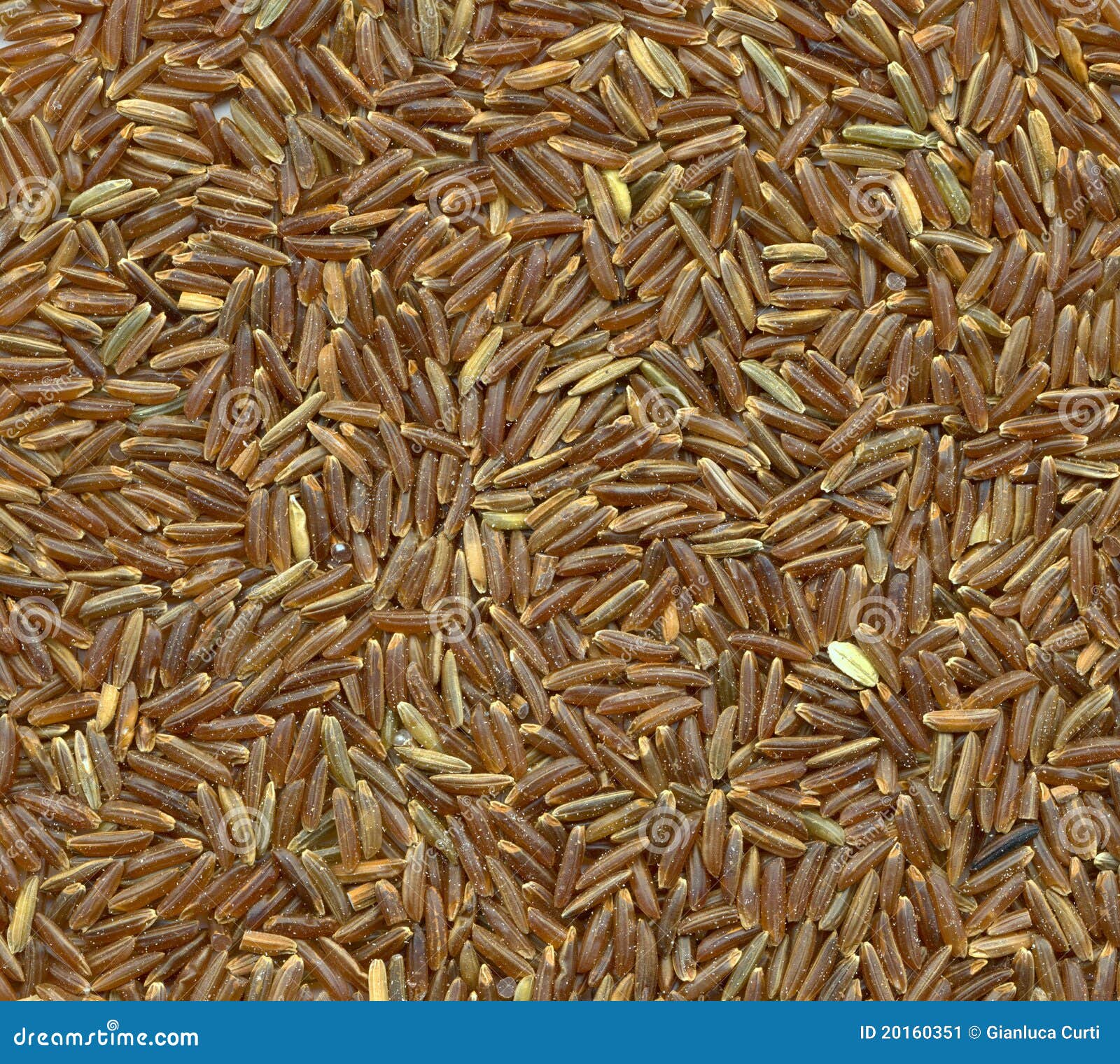 Brown Rice High Resolution Close-up Stock Image - Image of uncooked ...