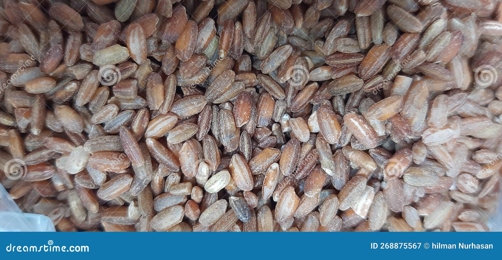 Brown rice. low sugar rice stock image. Image of agriculture - 268875567