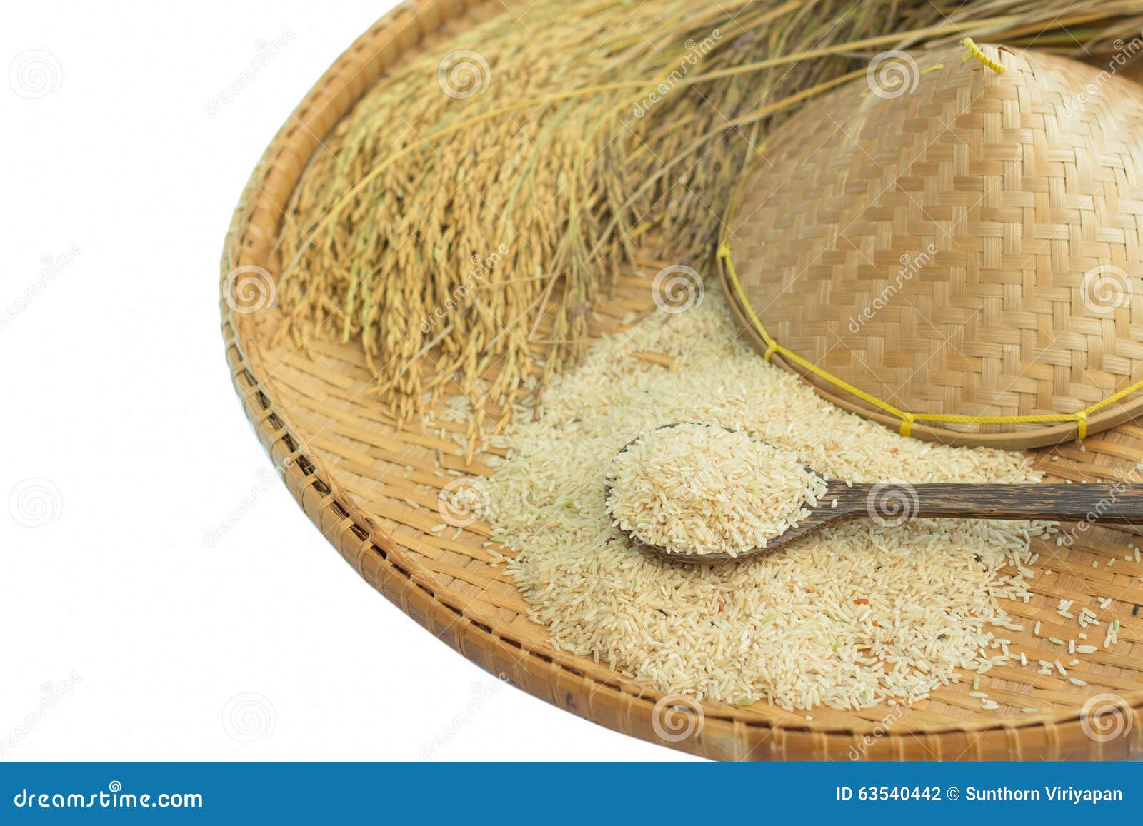 Brown Rice and Paddy Rice on Bamboo Stock Photo - Image of crop ...