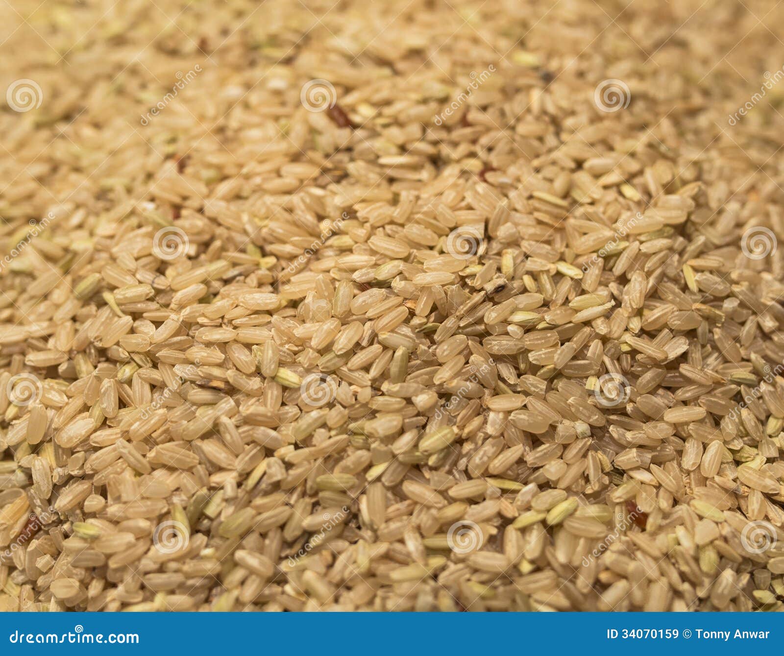 Brown Rice stock image. Image of grain, food, organic - 34070159