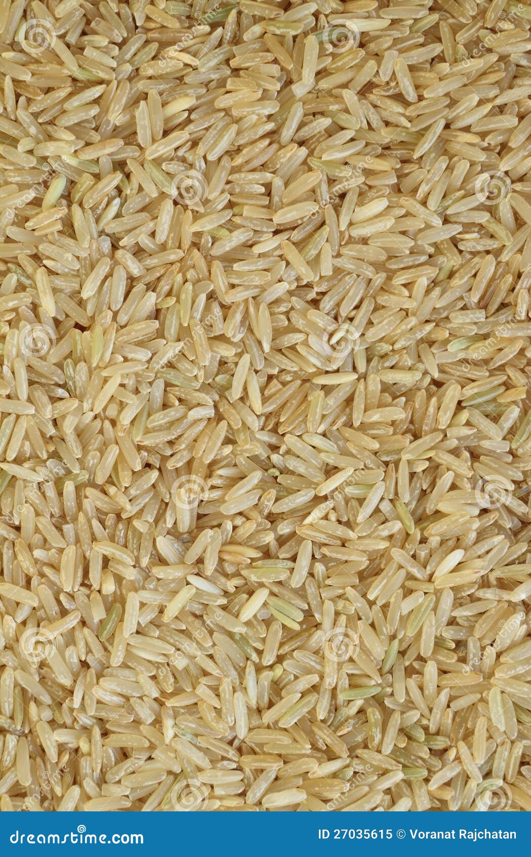 Brown rice seeds stock image. Image of details, harvest - 27035615
