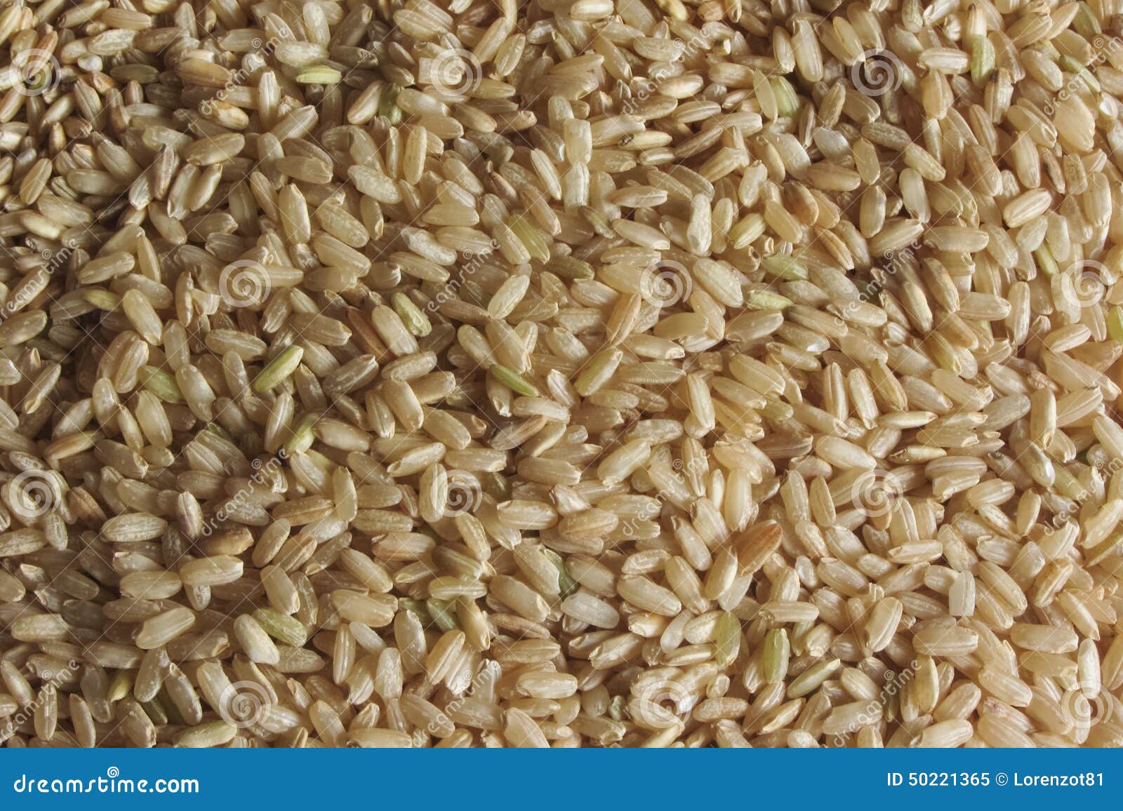Brown rice texture stock image. Image of white, india - 50221365