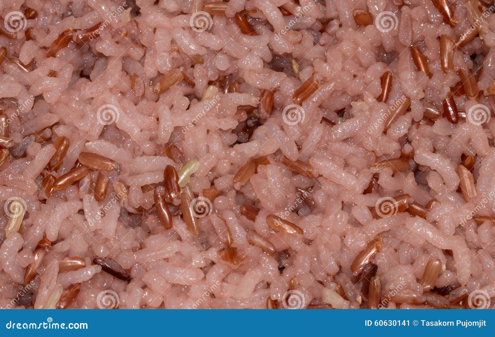 Brown Rice stock image. Image of flavor, food, gamma - 60630141