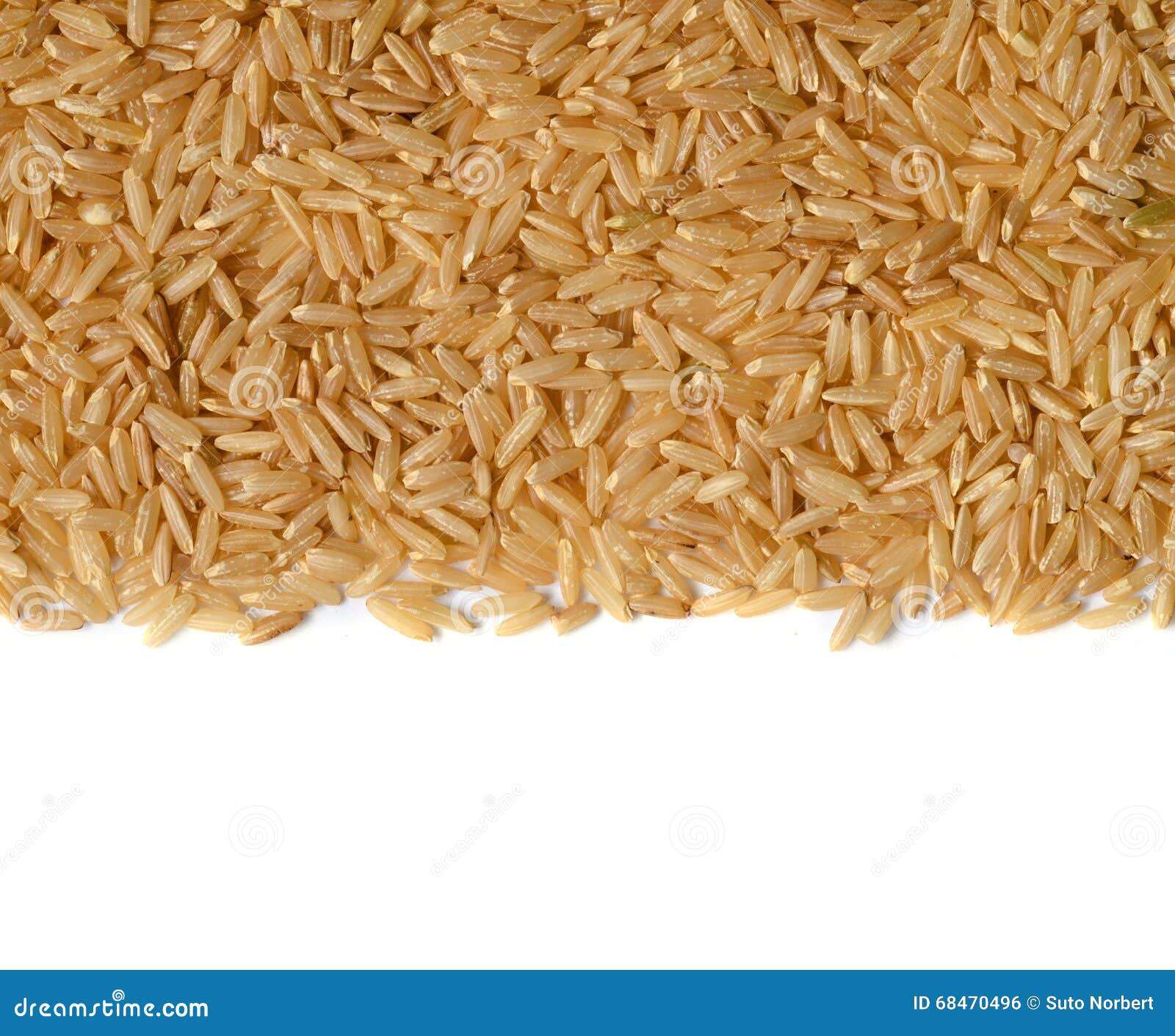 Brown rice uncooked stock photo. Image of close, closeup - 68470496