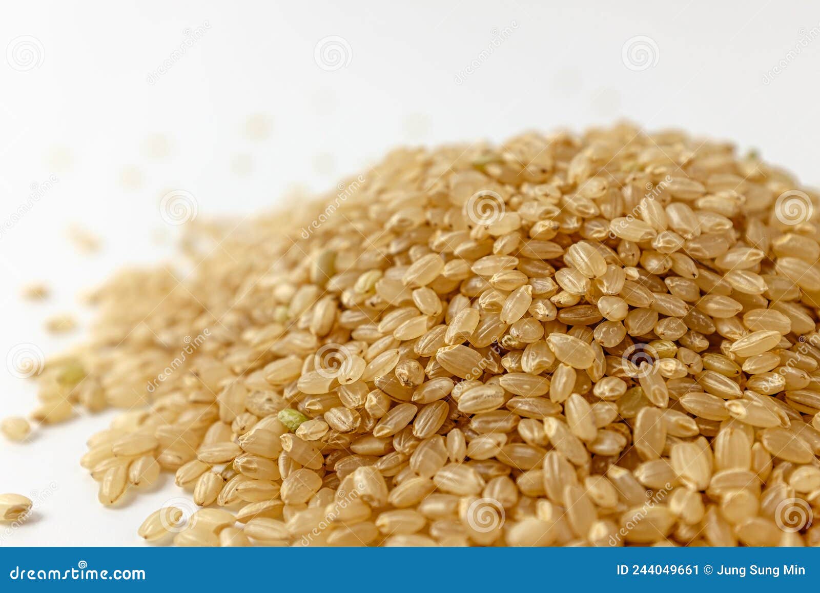 Brown Rice on a White Background Stock Image - Image of vegetable, meal ...
