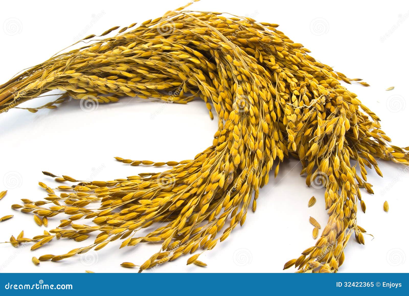 Brown Rice on White Background Stock Image - Image of closeup, grain ...