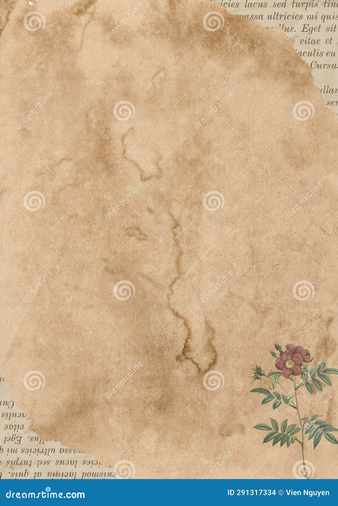 Brown Ripped Paper Notes - 2 Stock Illustration - Illustration of ...