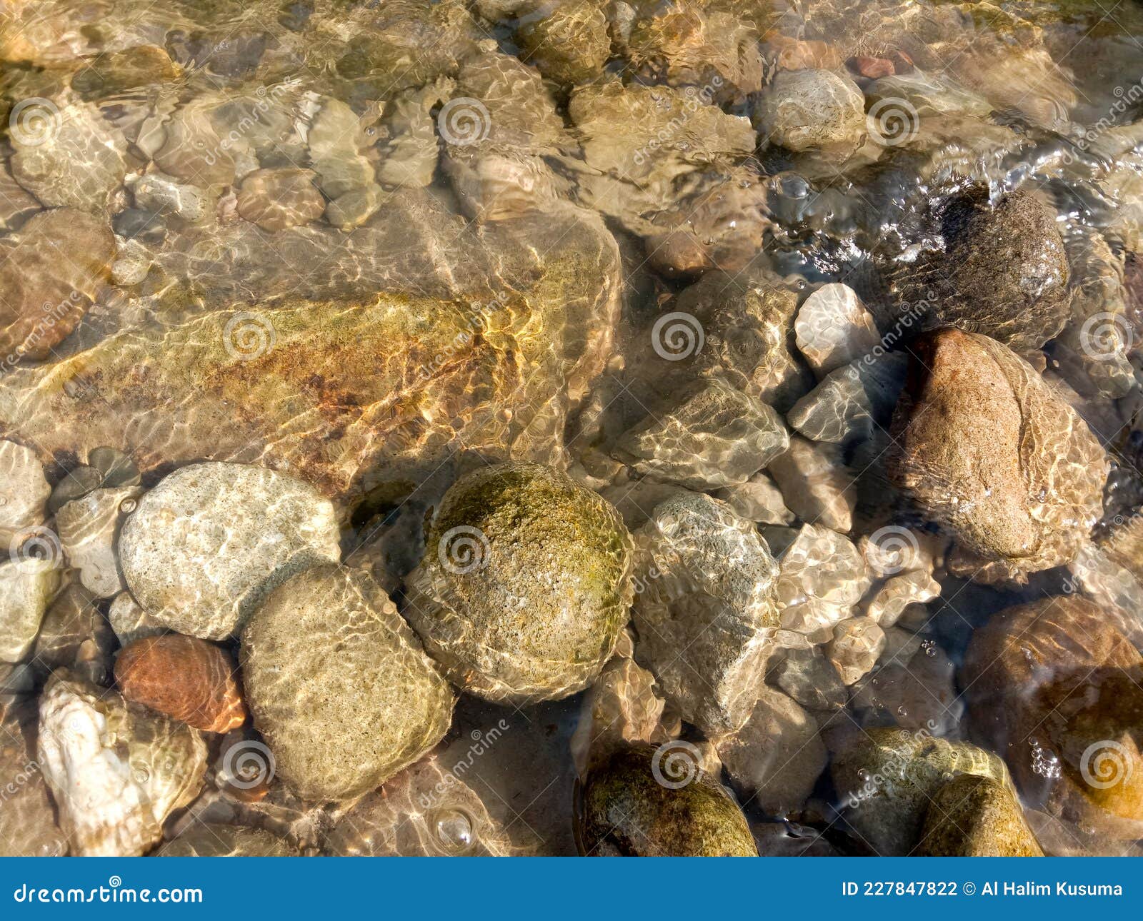 Brown River Rocks Flowing Water Stock Photo - Image of wood, rocks ...