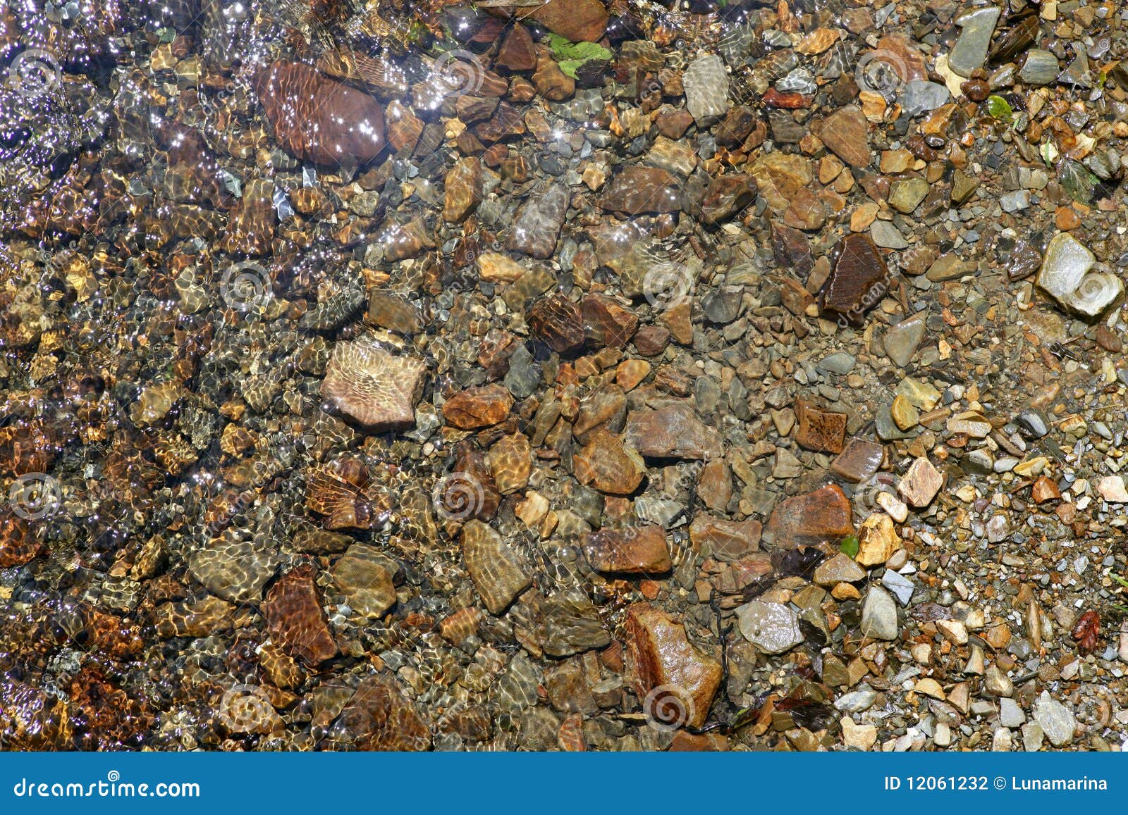 River Bottom Texture