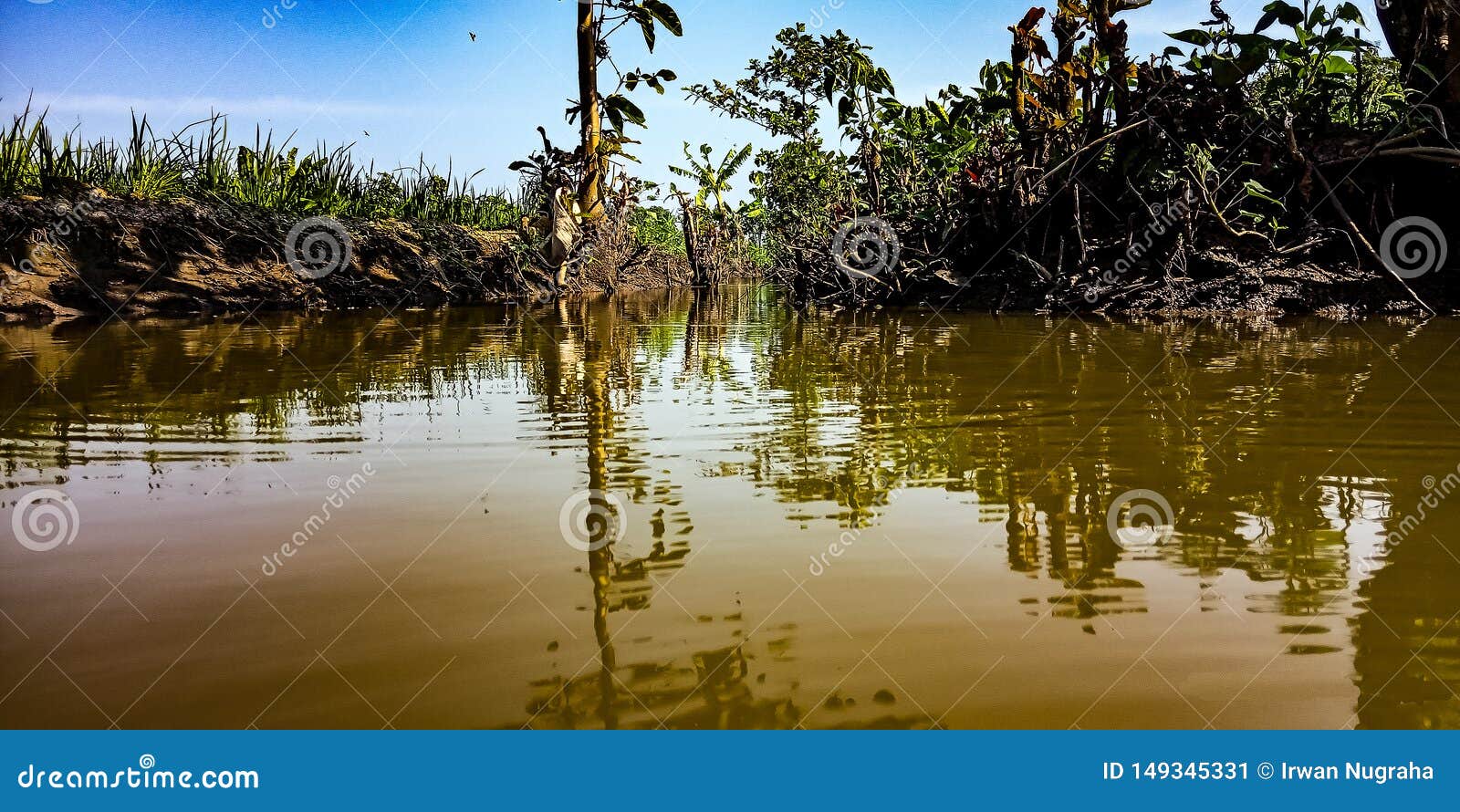 The brown river stock image. Image of green, beautiful - 149345331