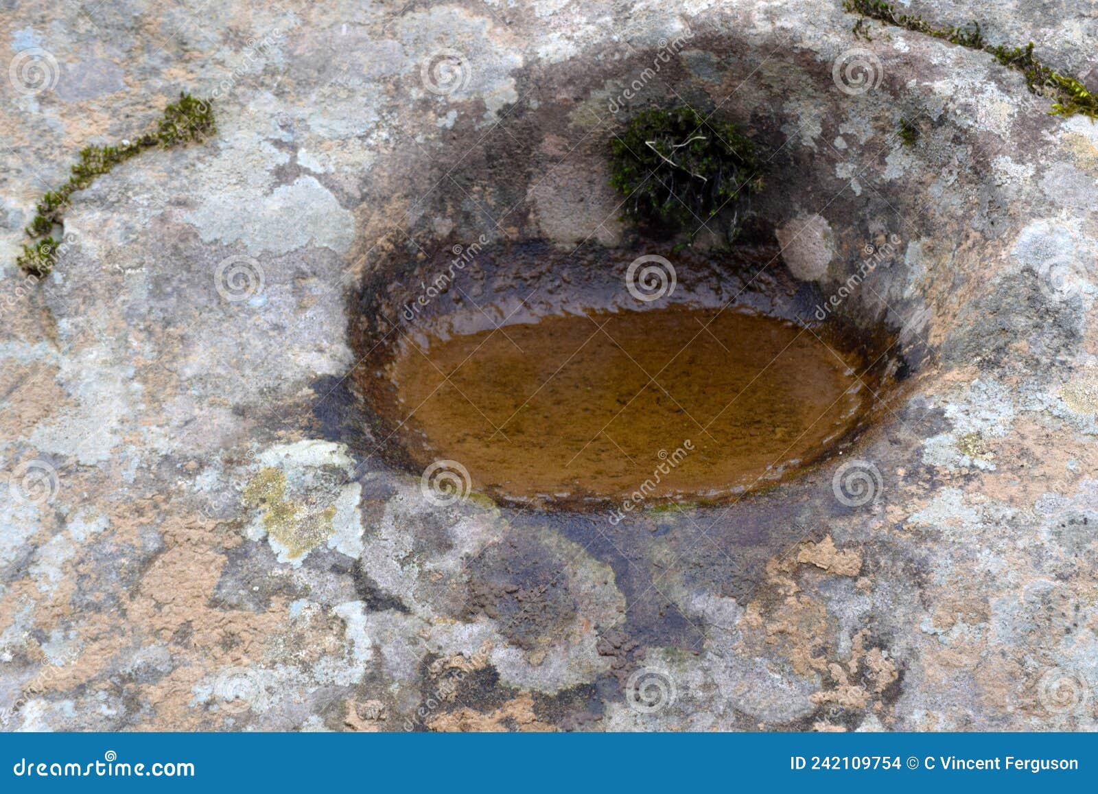 Brown Rock Puddle 01 stock photo. Image of pool, outdoor - 242109754