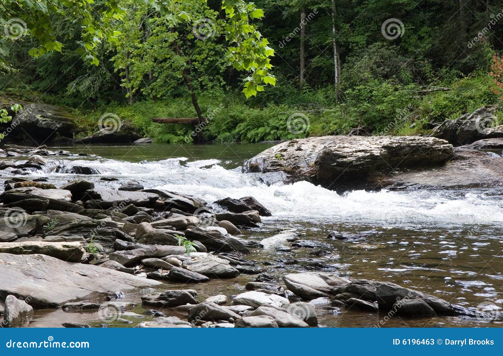 Brown Rocks in Stream stock image. Image of forest, pristine - 6196463