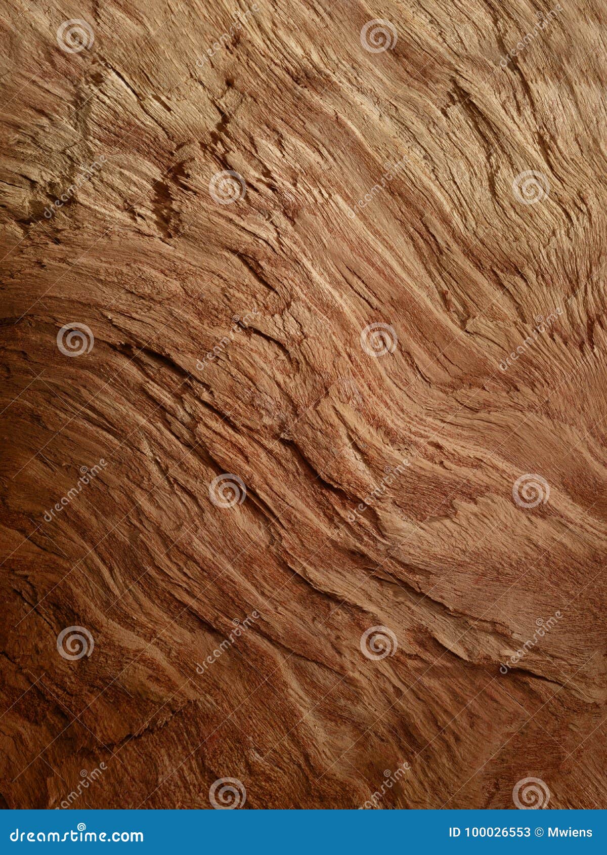 Brown Rough Split Wood Grain Stock Image - Image of board, dead: 100026553