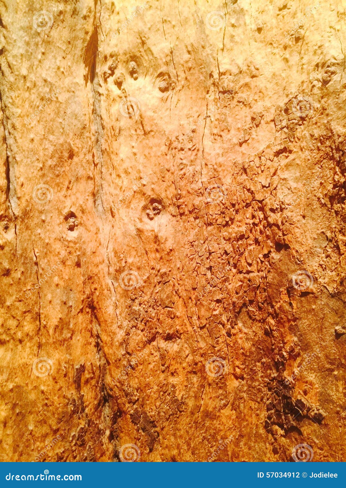 Rough Tree Bark Texture. Natural Wood Background. High-resolution Image ...