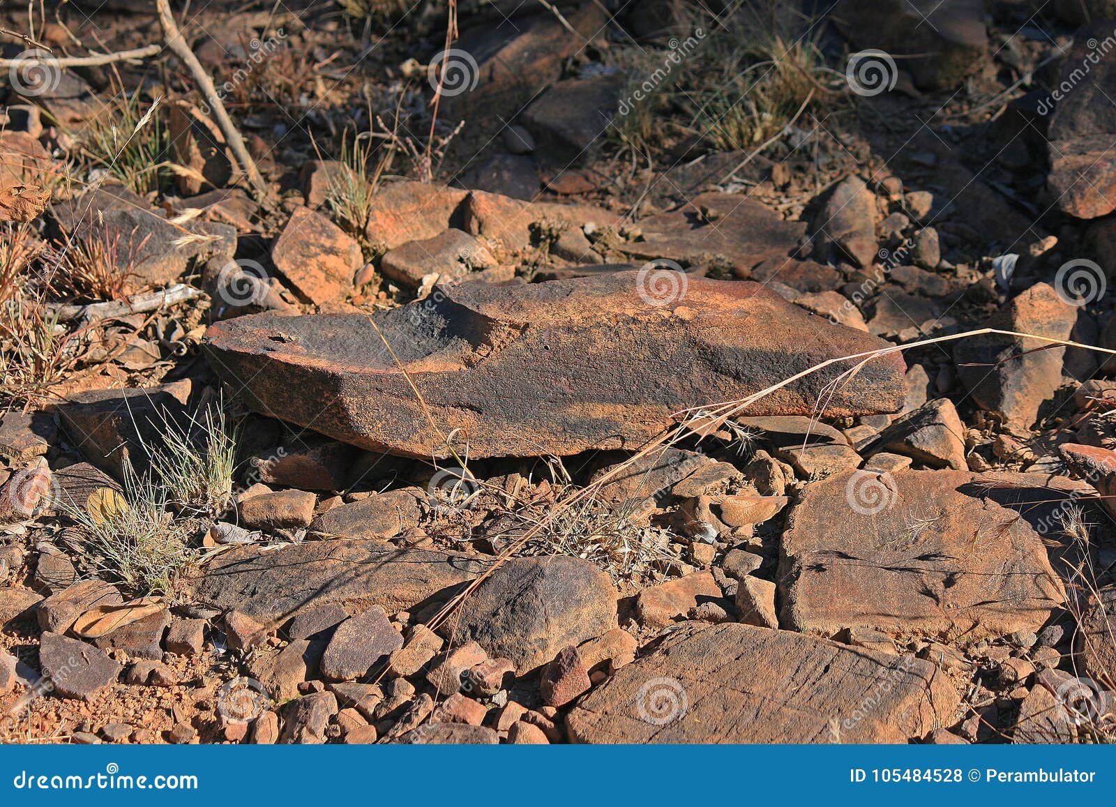 LOOSE ROCKS and STONES in NATURE Stock Photo - Image of nature, plant ...