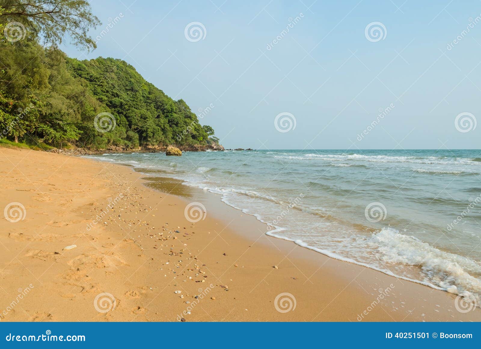 Brown sand beach stock image. Image of plant, green, nature - 40251501