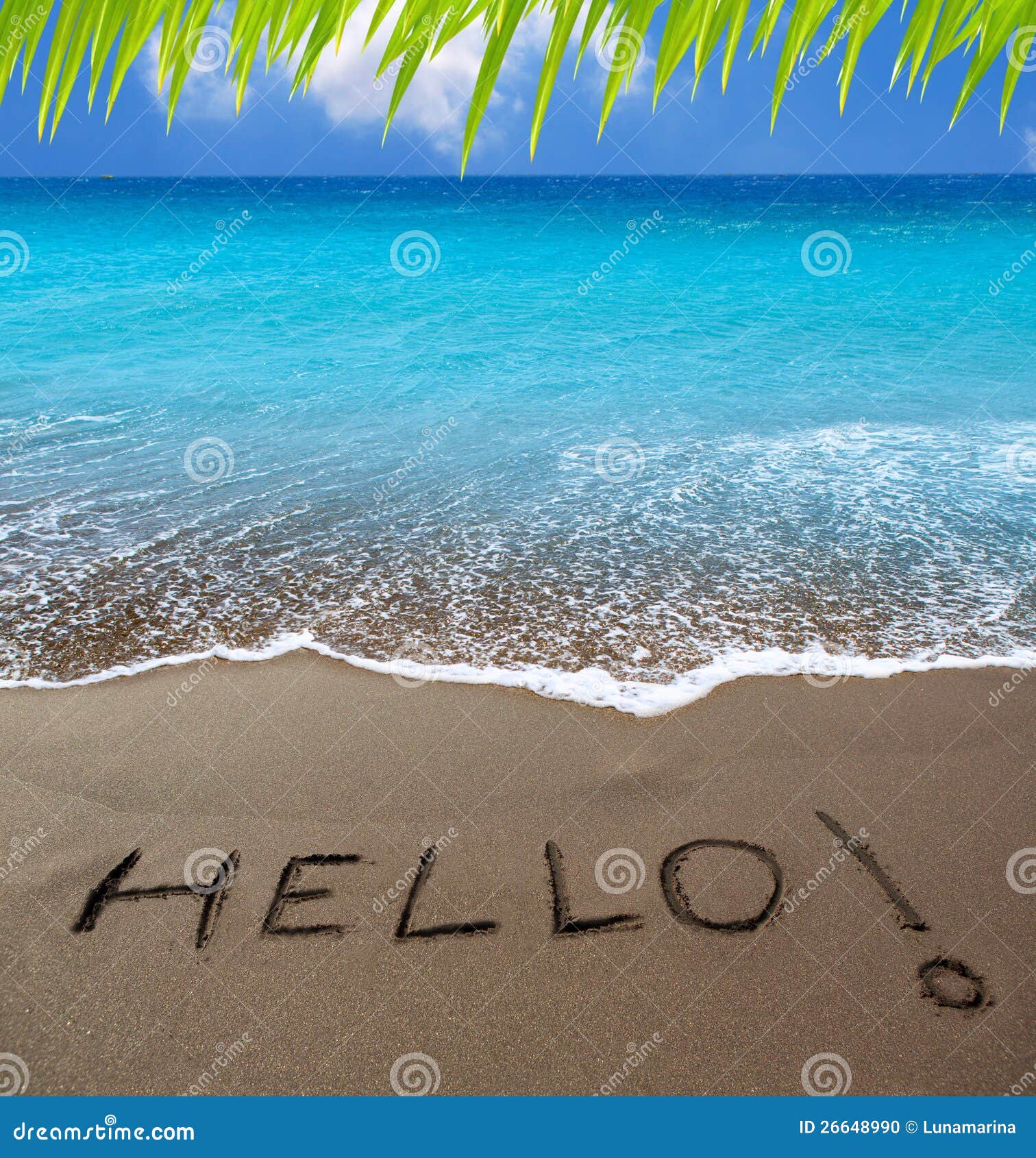 Brown Sand Beach with Written Word Hello Stock Photo - Image of palm ...