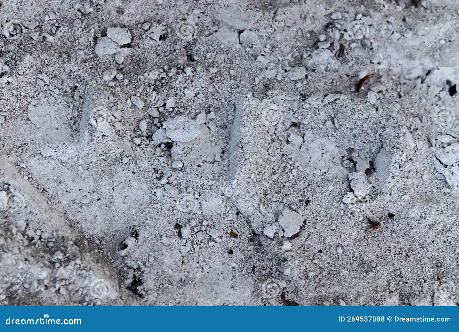 Brown Sand Ground Texture in High Resolution Stock Photo - Image of ...