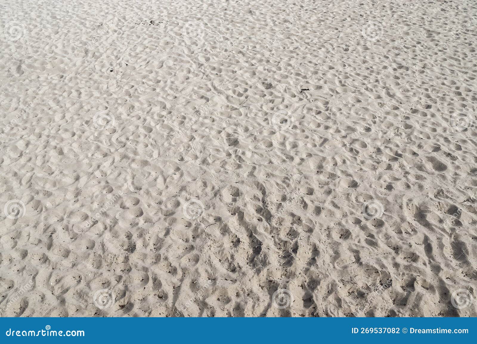Brown Sand Ground Texture in High Resolution Stock Photo - Image of ...