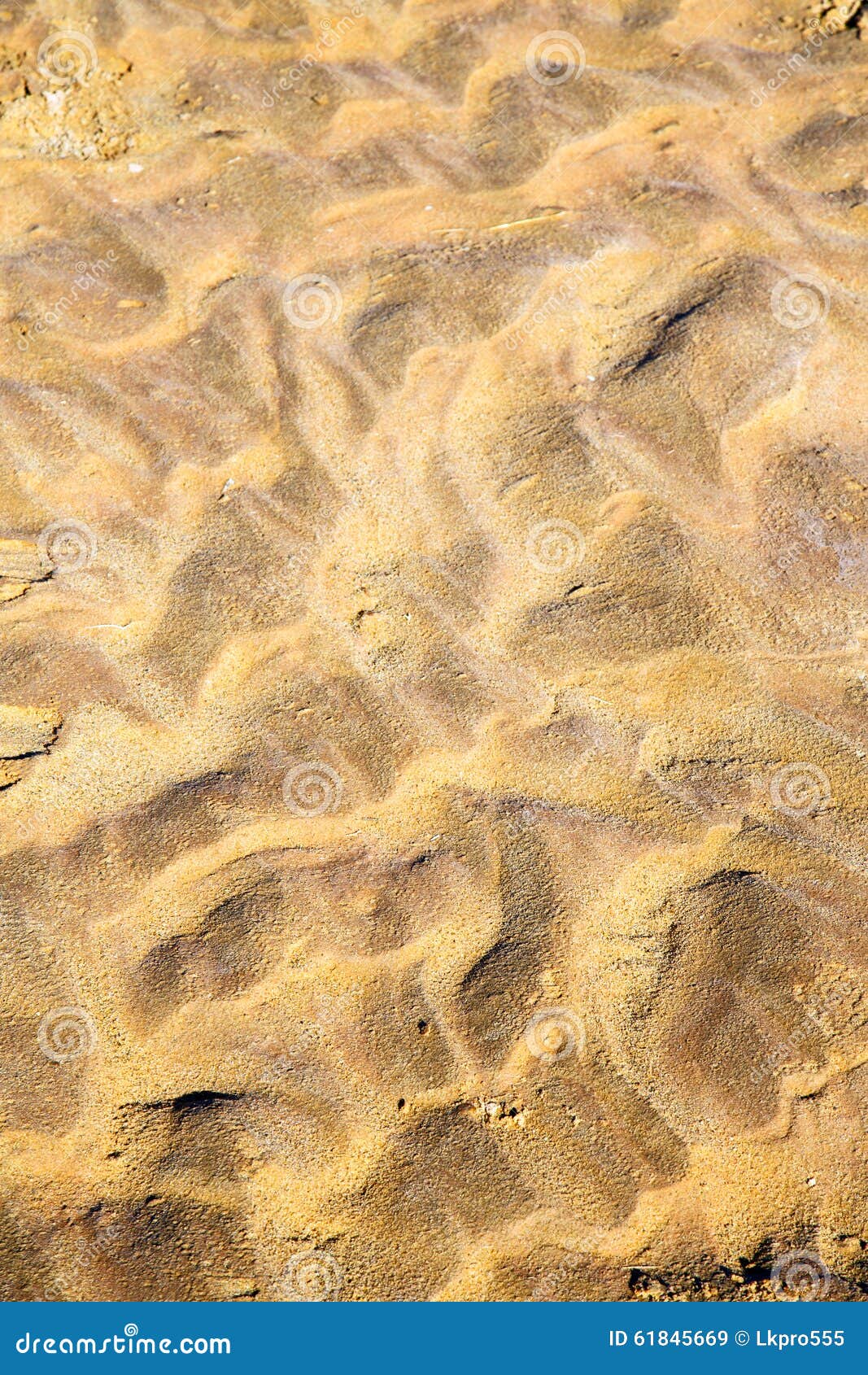Brown sand morocco desert stock image. Image of morocco - 61845669