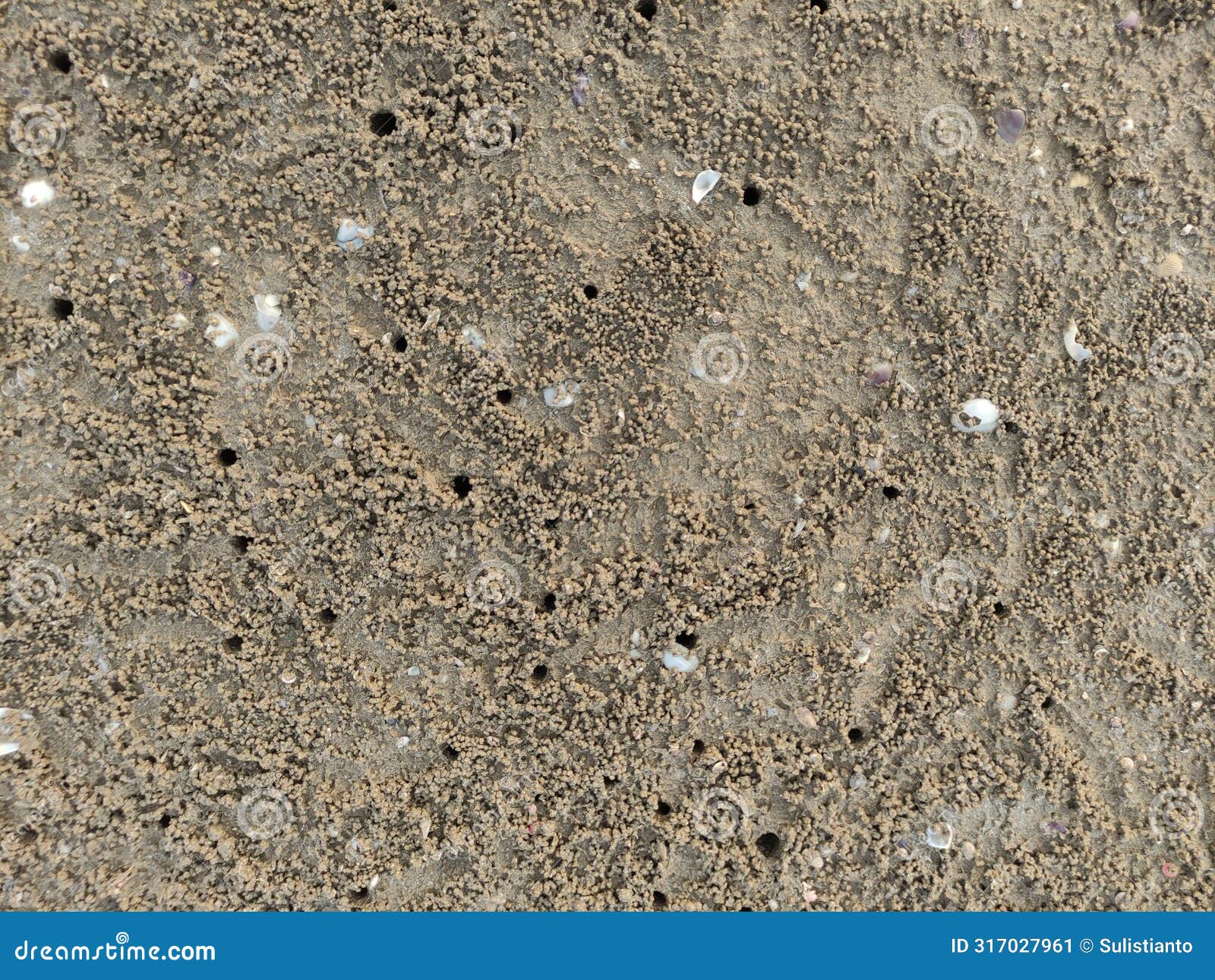 Brown Sandy Soil Texture on the Beach Stock Image - Image of rough ...