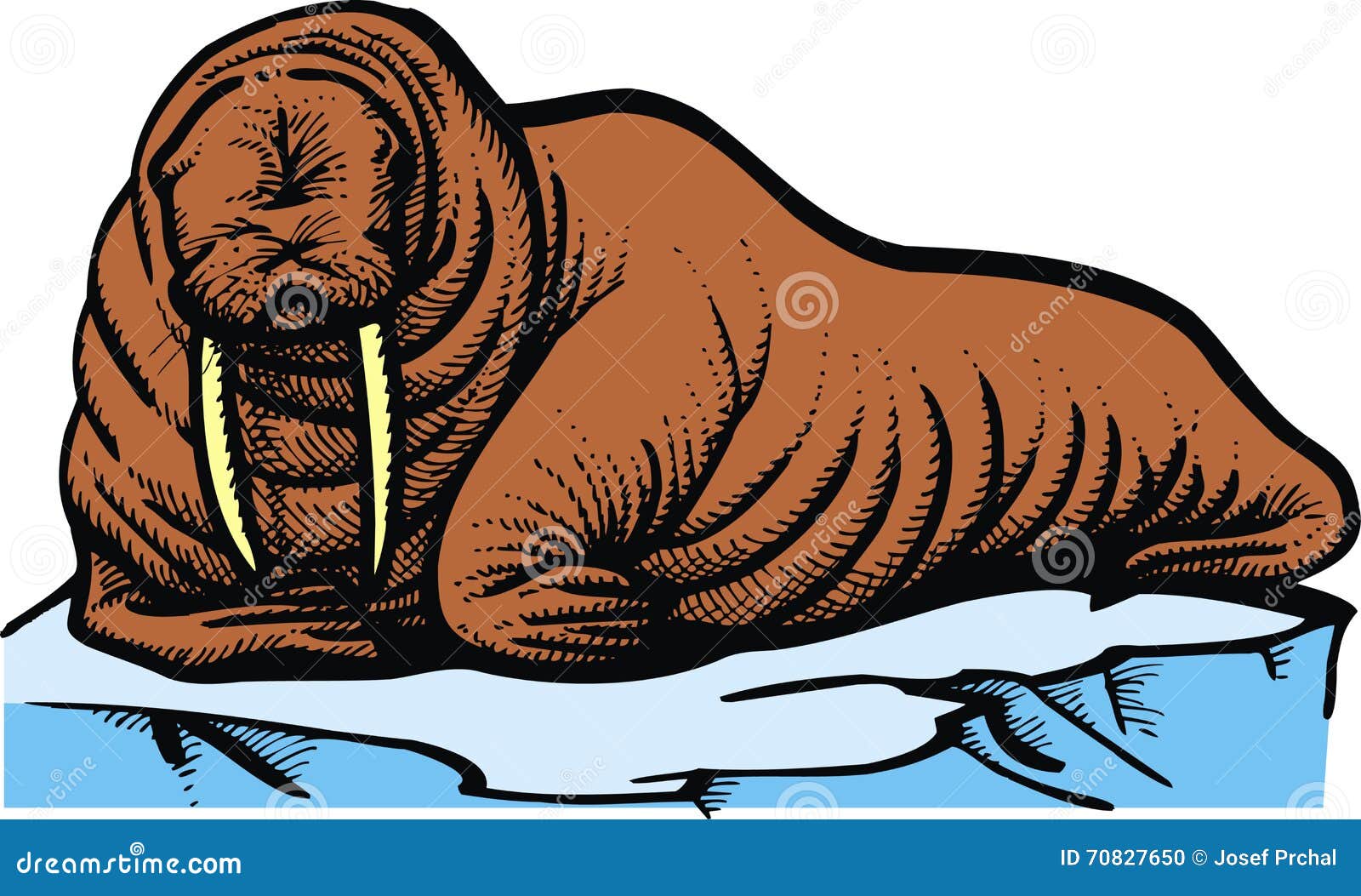 Brown sea cow stock vector. Illustration of alone, calf - 70827650