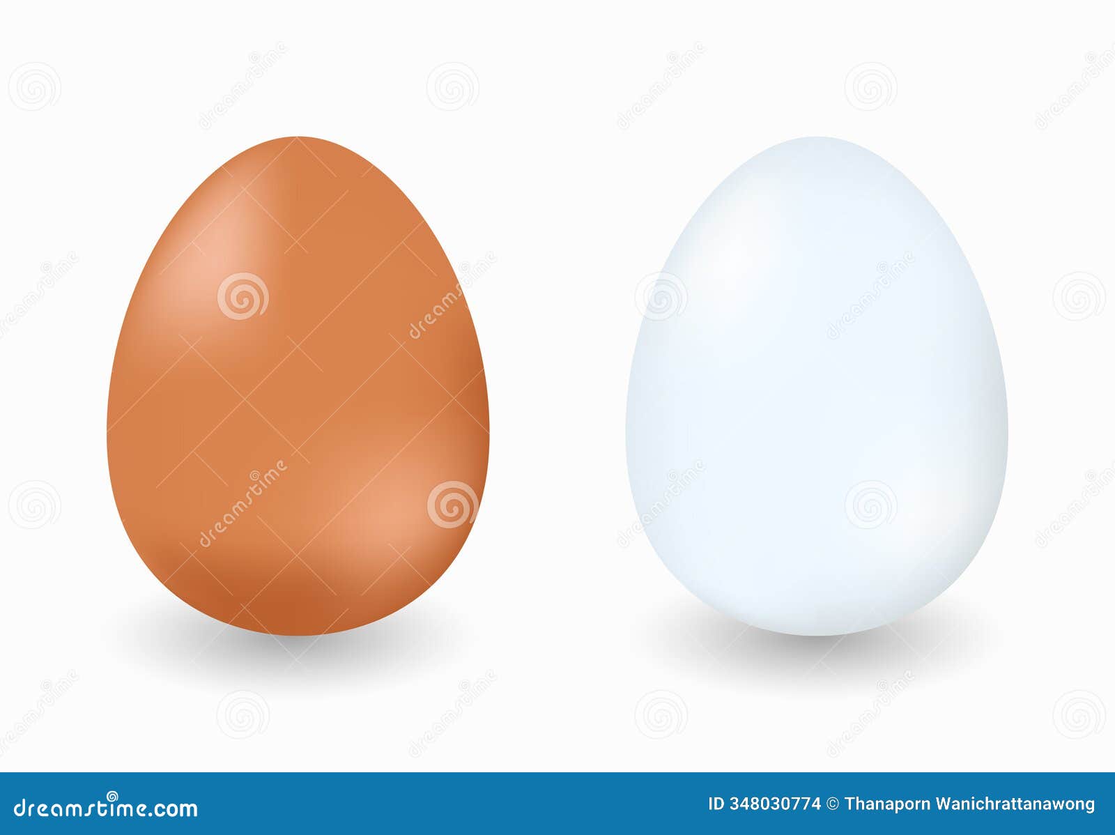 Brown Shell and White Shell Eggs on White Background, Vector Stock ...