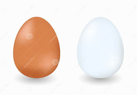 Brown Shell and White Shell Eggs on White Background, Vector Stock ...