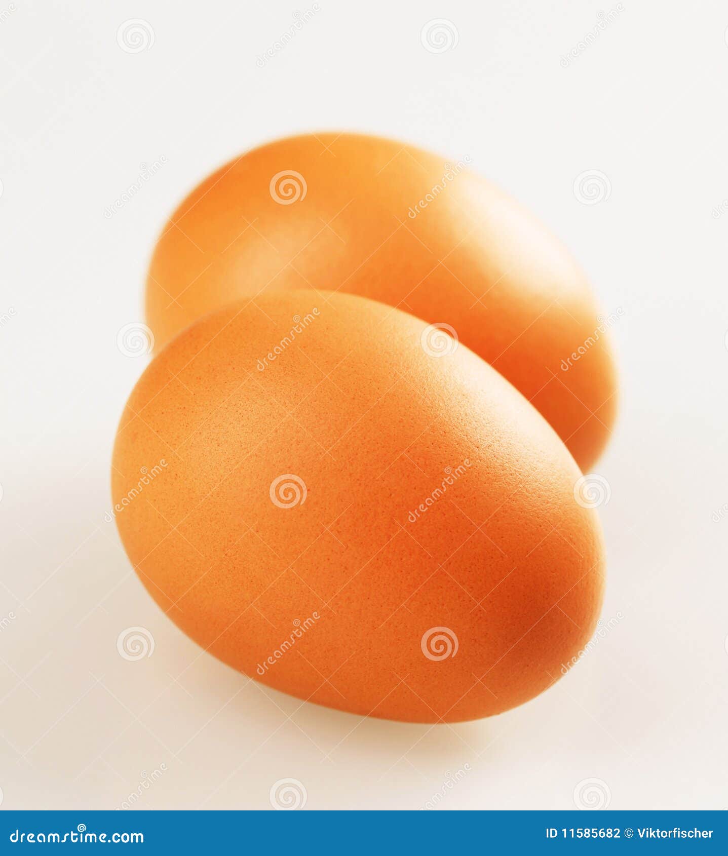 Brown shelled eggs stock photo. Image of shell, brown - 11585682